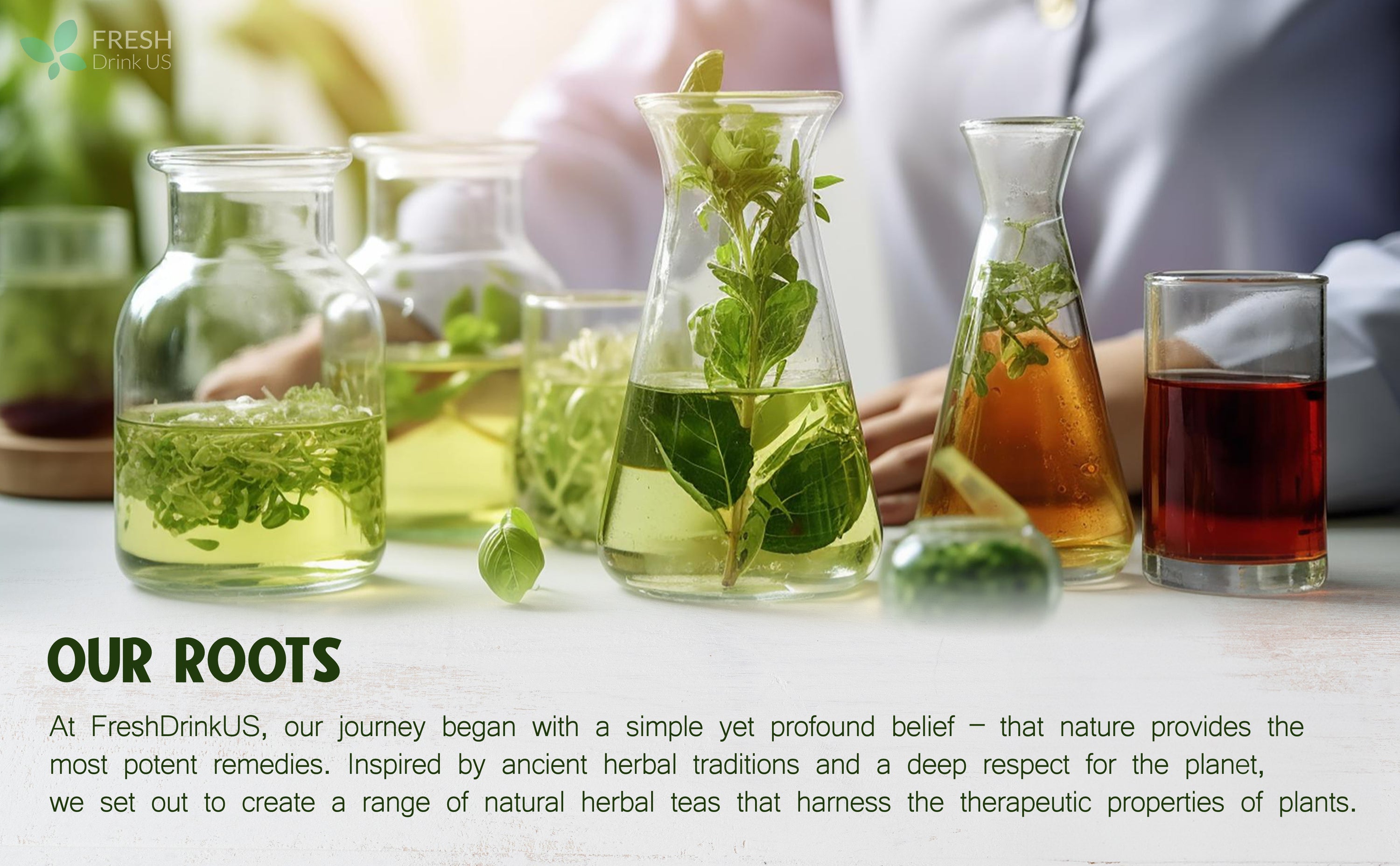 FreshDrinkUS - Natural and Premium Herbal Tea